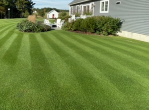 Common Types of Lawns in Connecticut - Fairfield Tick Control
